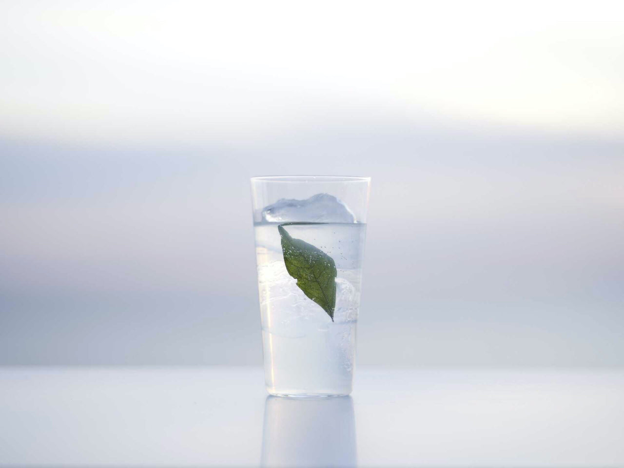 QINO SODA（キノソーダ） - 黒文字 - 白山麓 6本セット｜fabriq｜石川県白山市 – TURNS商店｜地域とつながるオンラインショップ｜地域と作り手のストーリーが詰まった特産品 ...